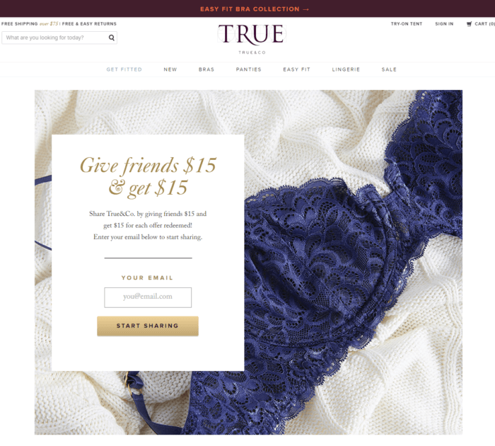 Top 11 Referral Landing Page Examples [+ 7 Must-Haves]