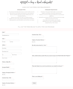 Awesome Brand Ambassador Application Template [+ 9 Examples]