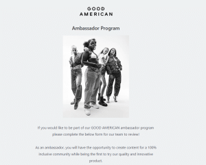 Awesome Brand Ambassador Application Template [+ 9 Examples]