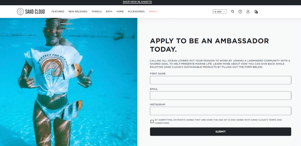 Awesome Brand Ambassador Application Template [+ 9 Examples]