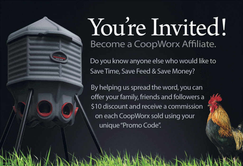 Top 10 Affiliate Incentives: Add Variety to Your Program