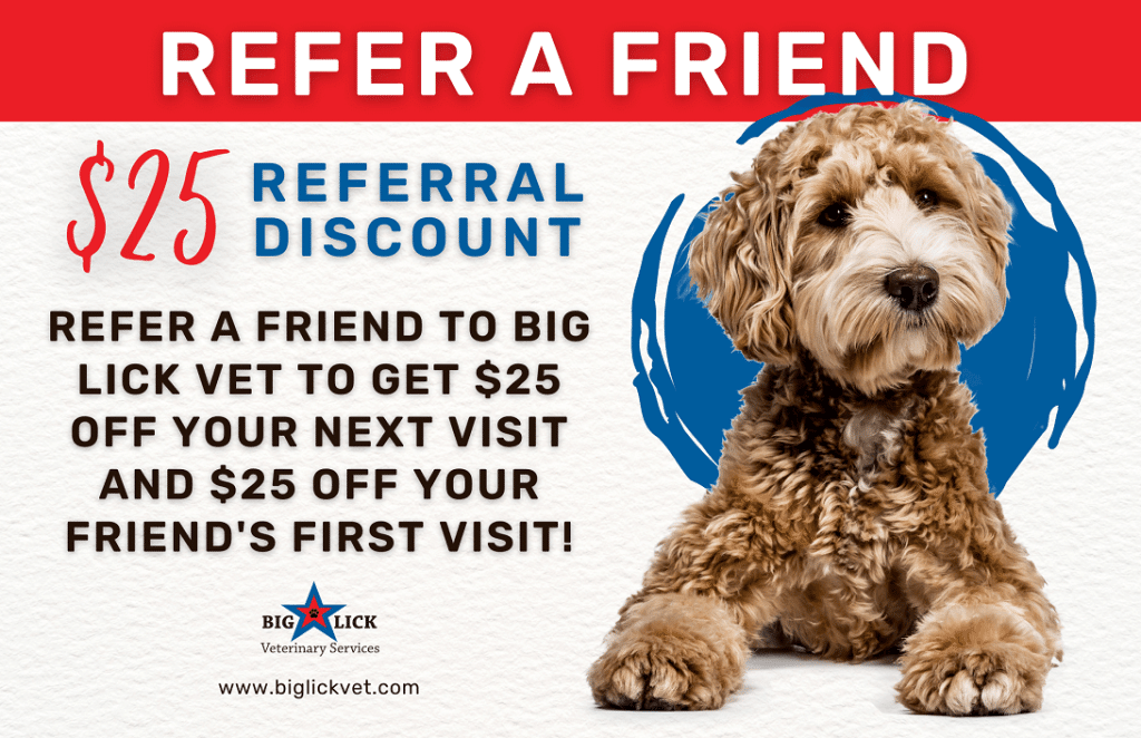 Start the Best Pet Care Referral Program [+Tools]